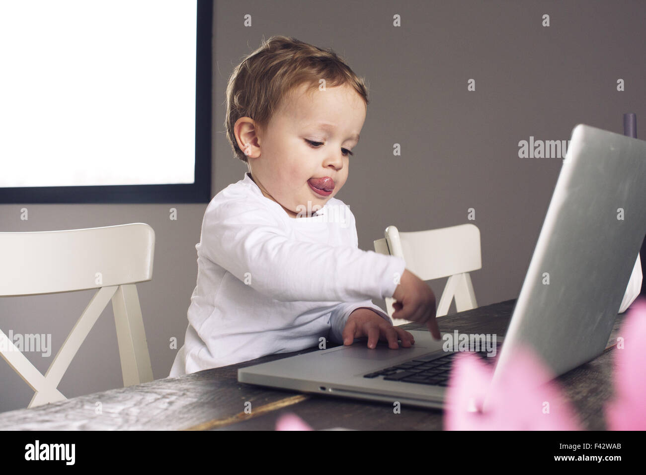 Little boy using laptop computer Stock Photo - Alamy