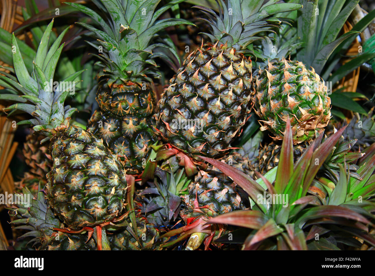 View pile fresh pineapples hi-res stock photography and images - Alamy