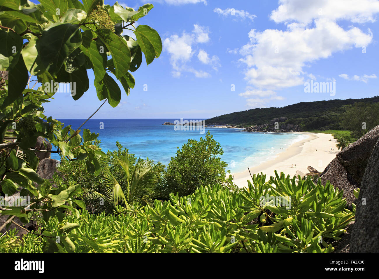 Grande anse beach island la hi-res stock photography and images - Alamy