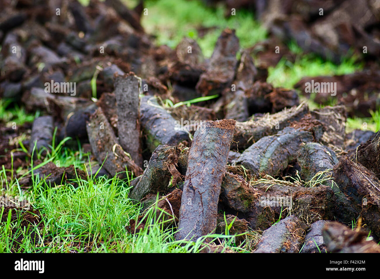 Footing turf hi-res stock photography and images - Alamy