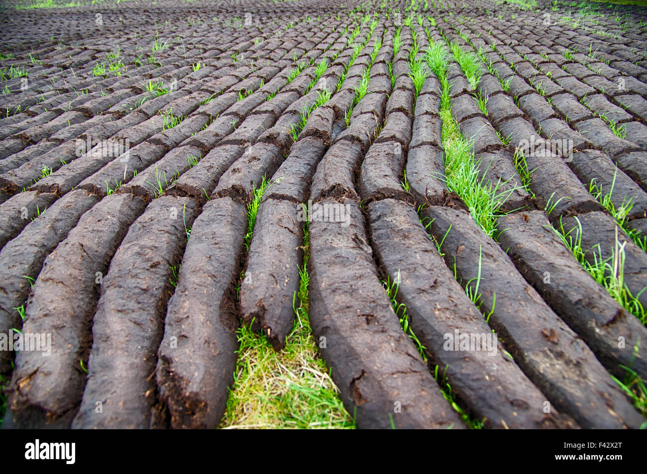 Footing turf hi-res stock photography and images - Alamy