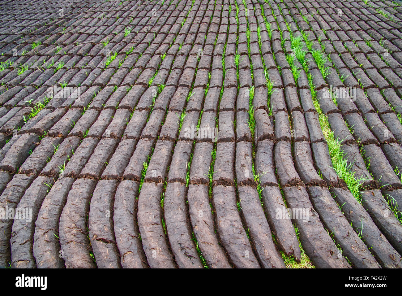 Footing turf hi-res stock photography and images - Alamy