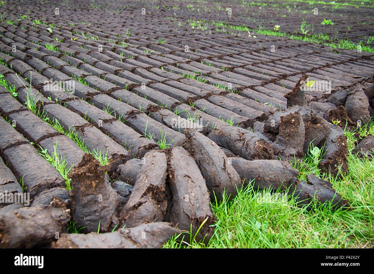 Footing turf hi-res stock photography and images - Alamy