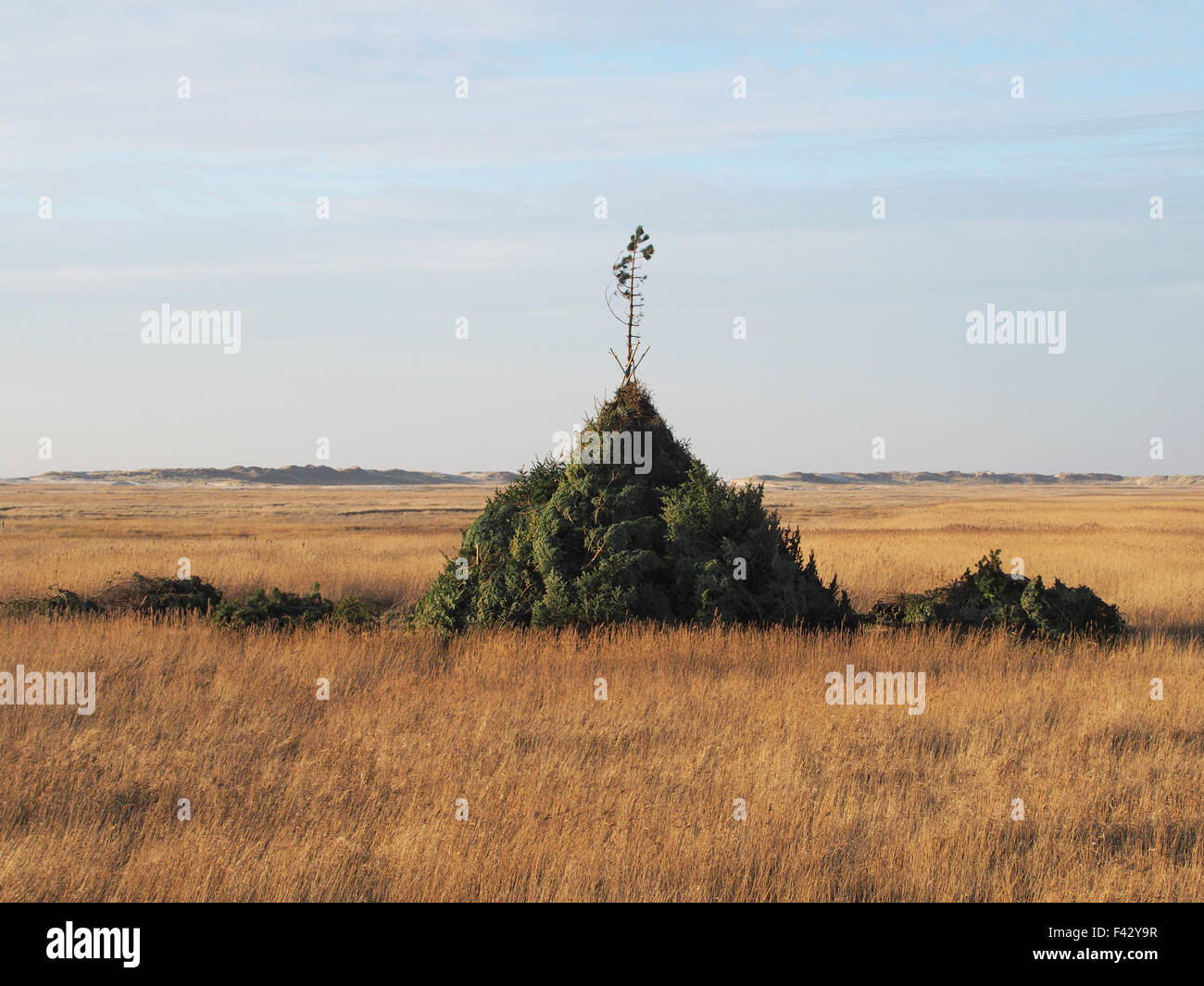 Biike hi-res stock photography and images - Alamy