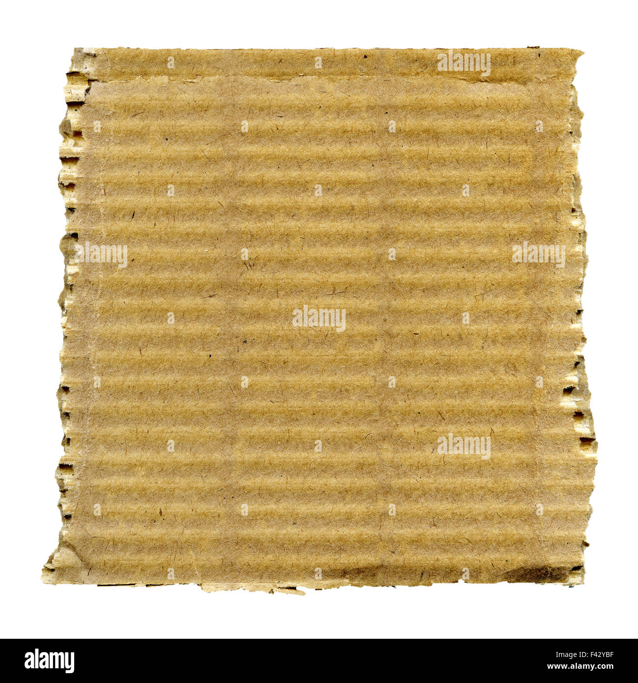 Torn cardboard isolated Stock Photo - Alamy