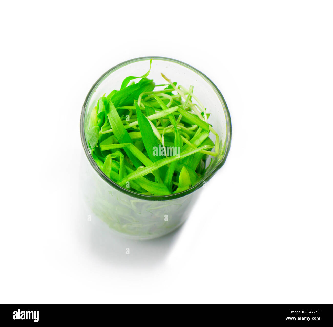 filling bright green grass isolated Stock Photo - Alamy