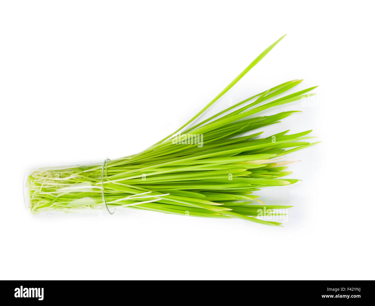 filling bright green grass isolated Stock Photo - Alamy
