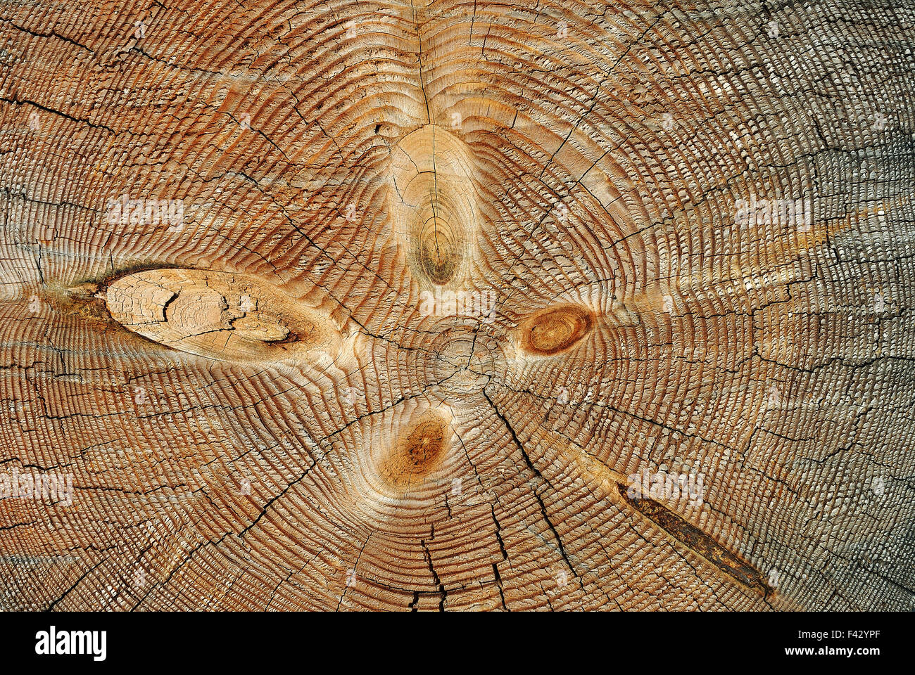 Weathered wooden cut Stock Photo - Alamy