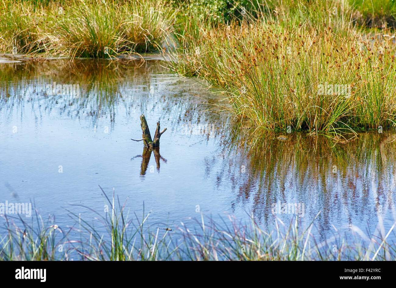 Nature protected area Stock Photo - Alamy