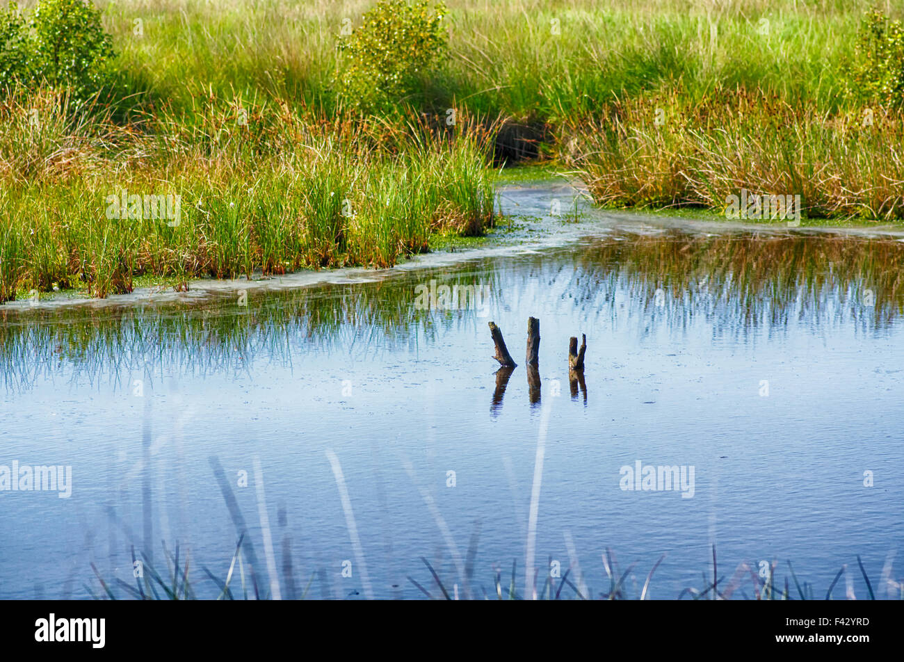 Nature protected area Stock Photo - Alamy
