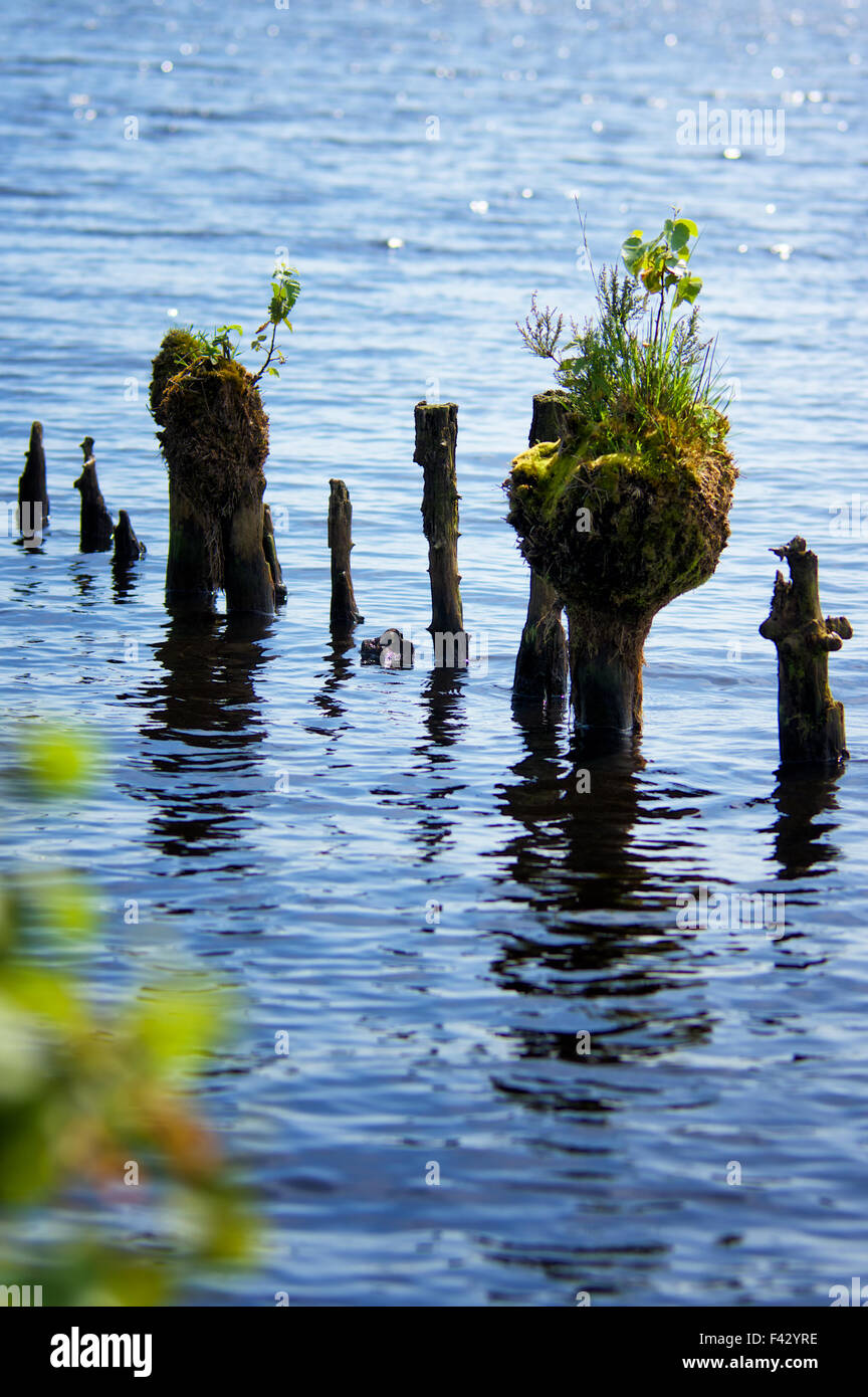 Protected nature landscape hi-res stock photography and images - Alamy