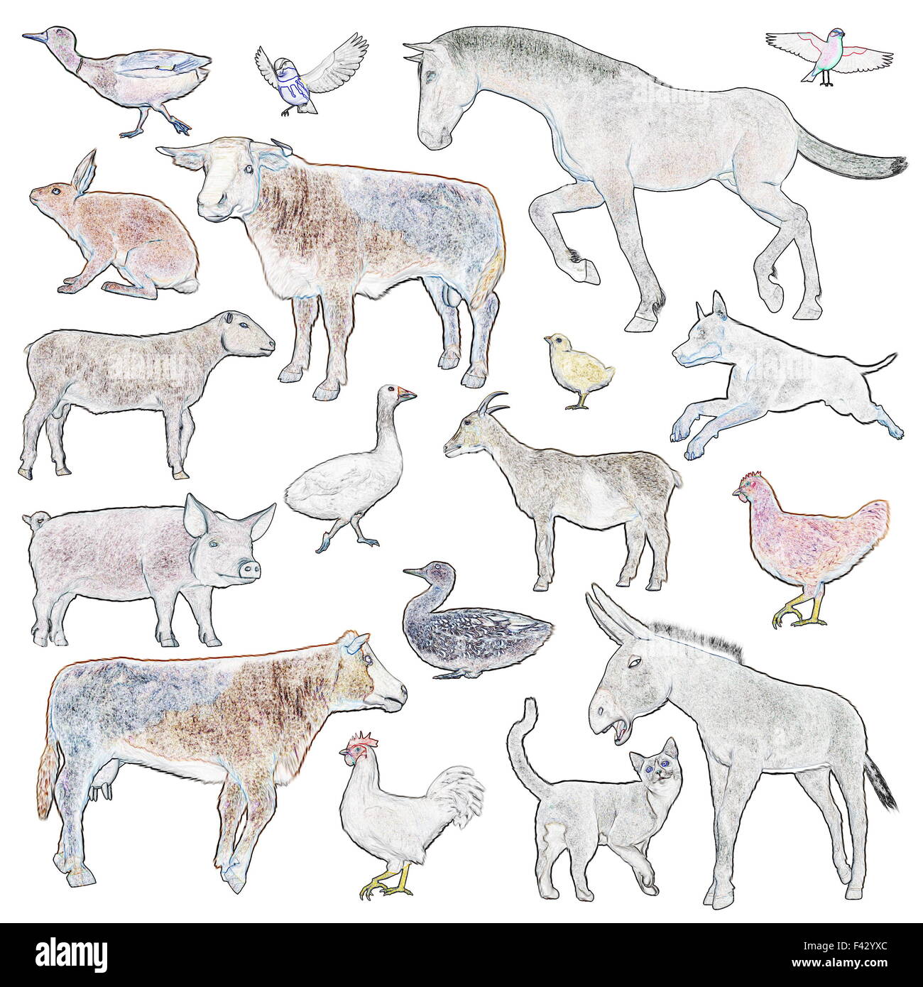 Set of farm animals Stock Photo - Alamy