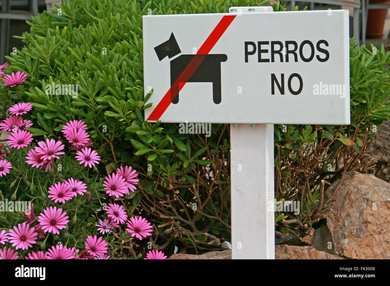 perros no/dogs forbidden Stock Photo - Alamy