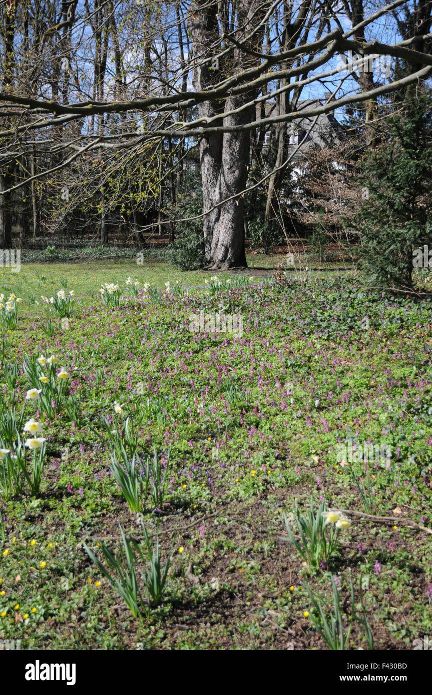 Hollowroots hi-res stock photography and images - Alamy