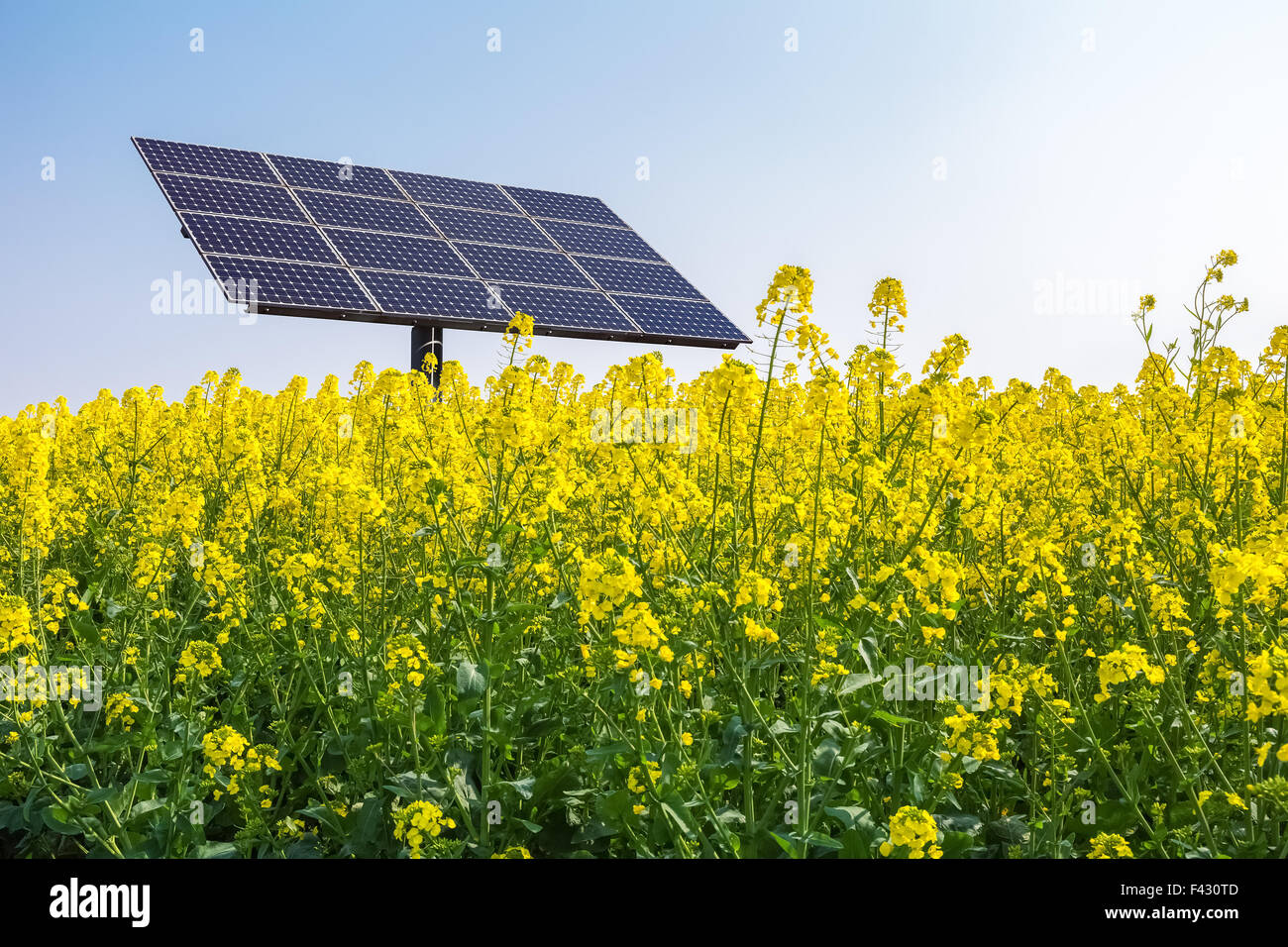 solar power in spring Stock Photo - Alamy