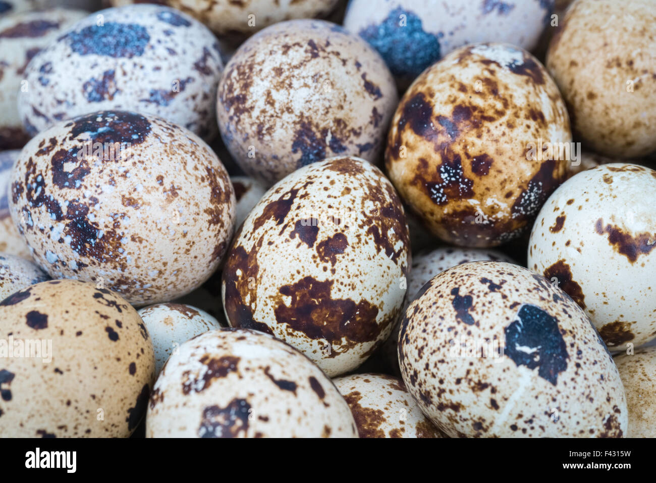 Raw quail eggs hi-res stock photography and images - Alamy