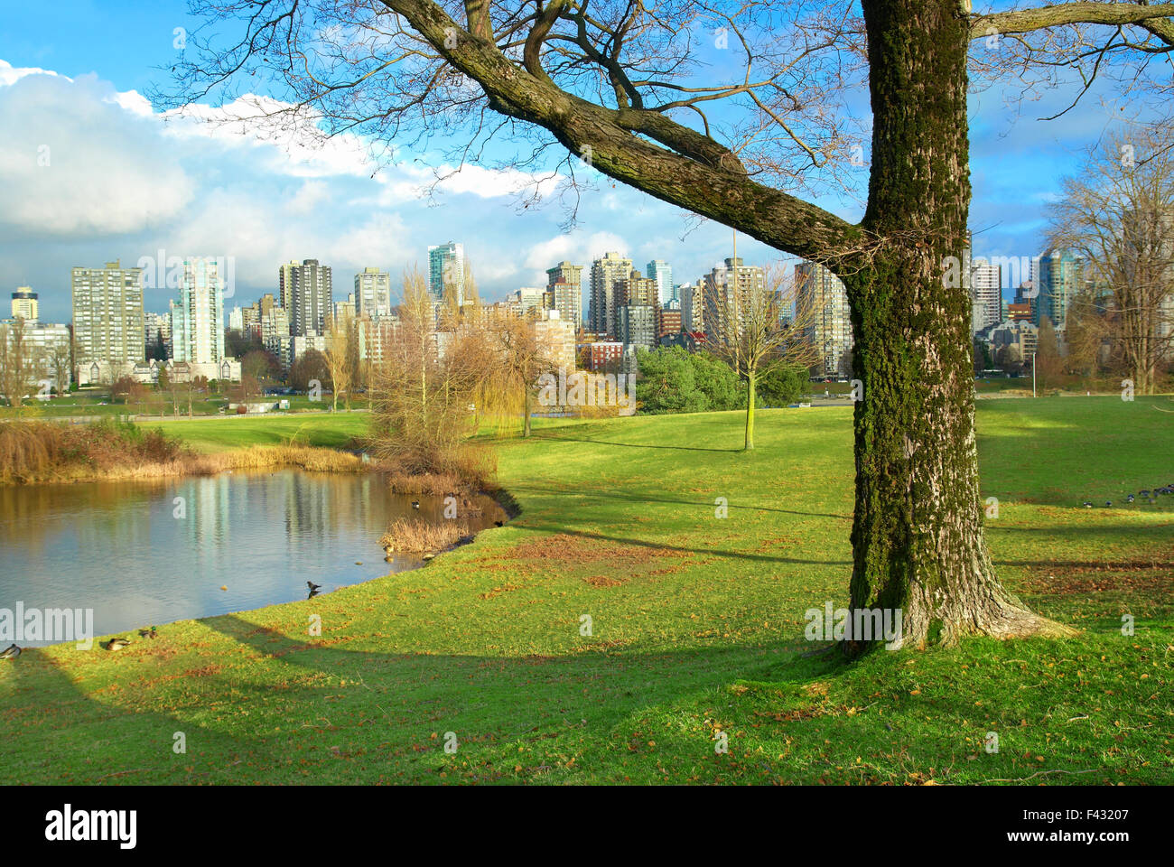Beautiful sea near forest hi-res stock photography and images - Alamy