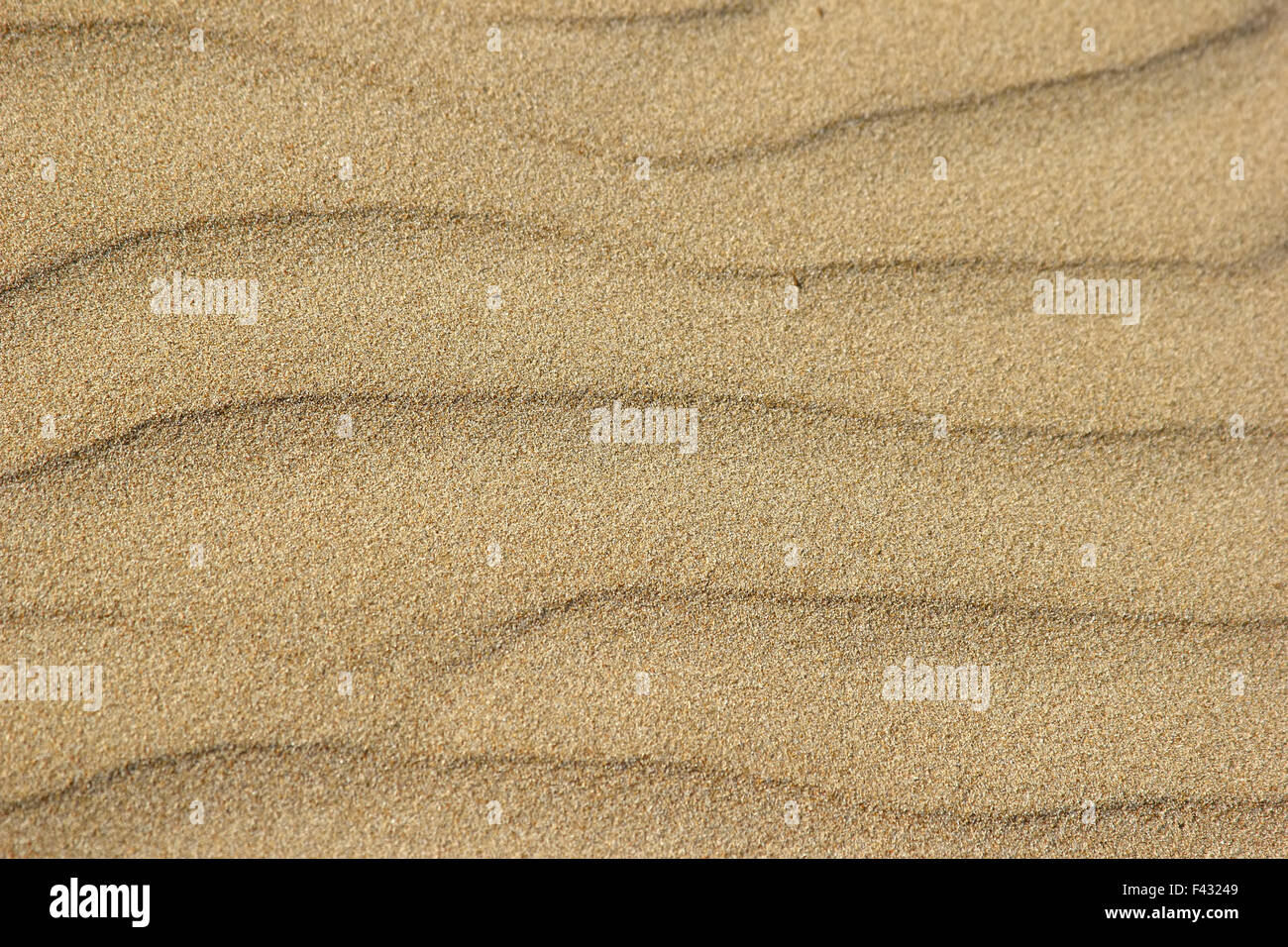 Full frame sand hi-res stock photography and images - Alamy