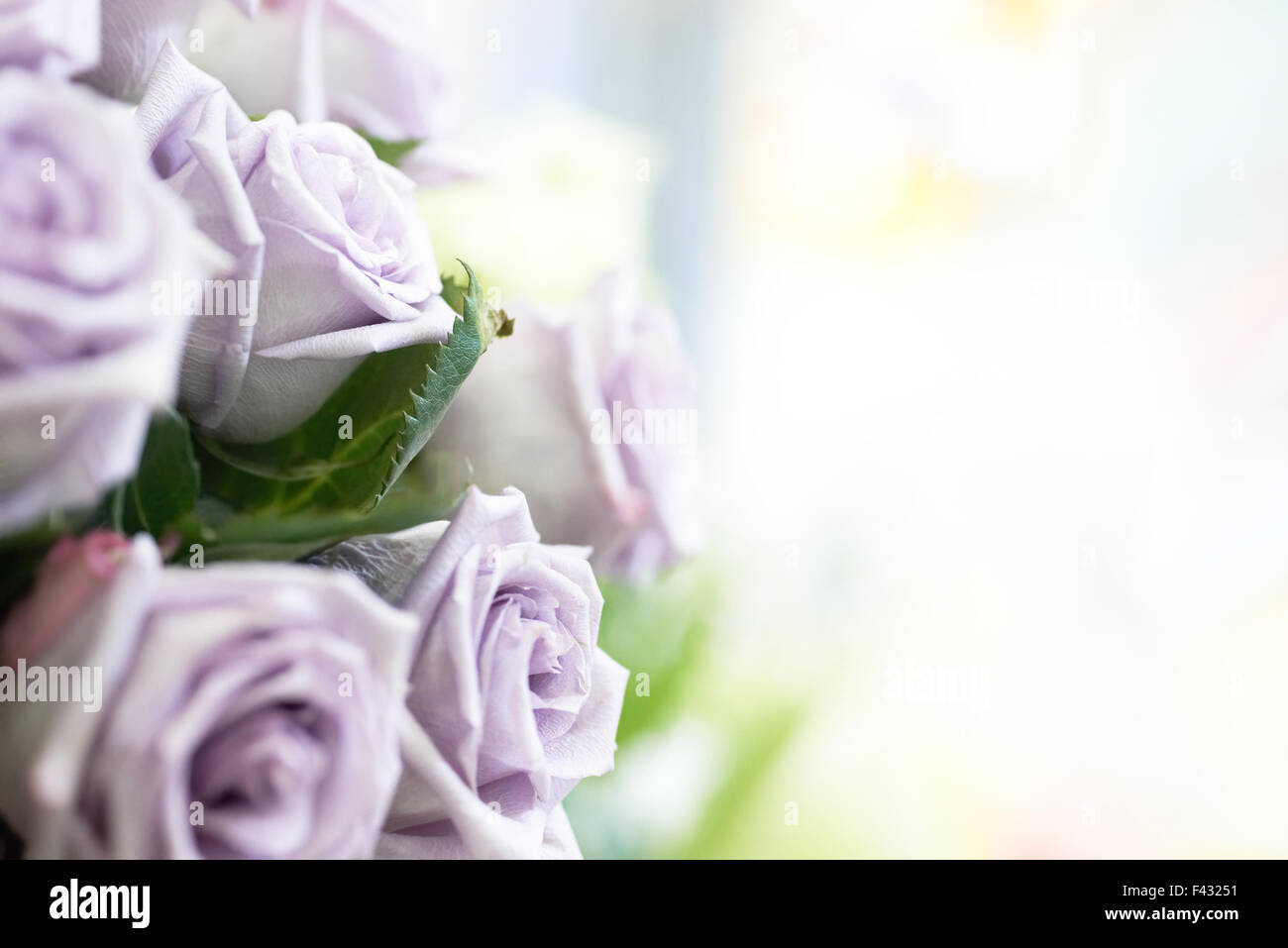 Beautiful bunch roses hi-res stock photography and images - Alamy