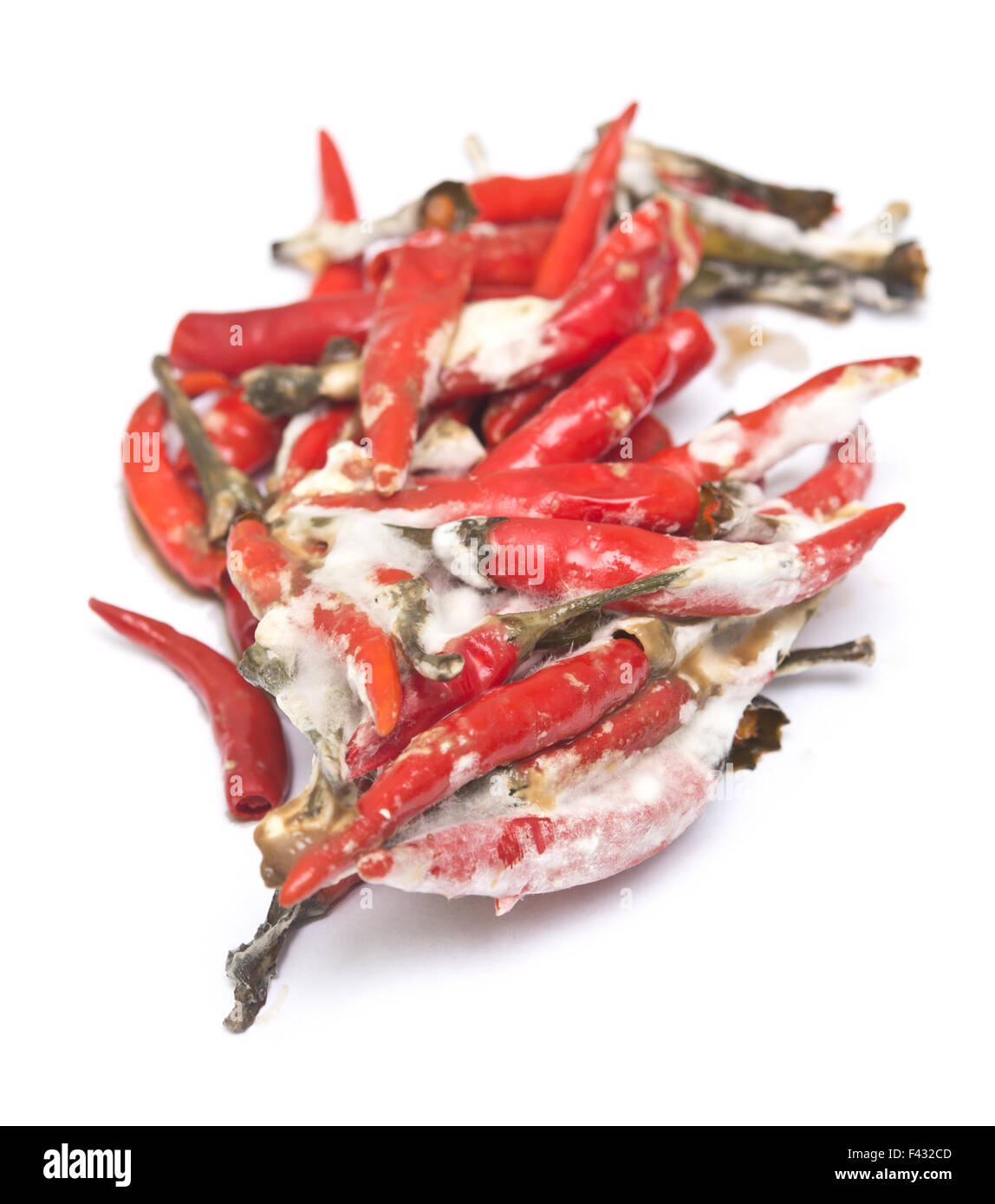 rotten chili pepper Stock Photo - Alamy