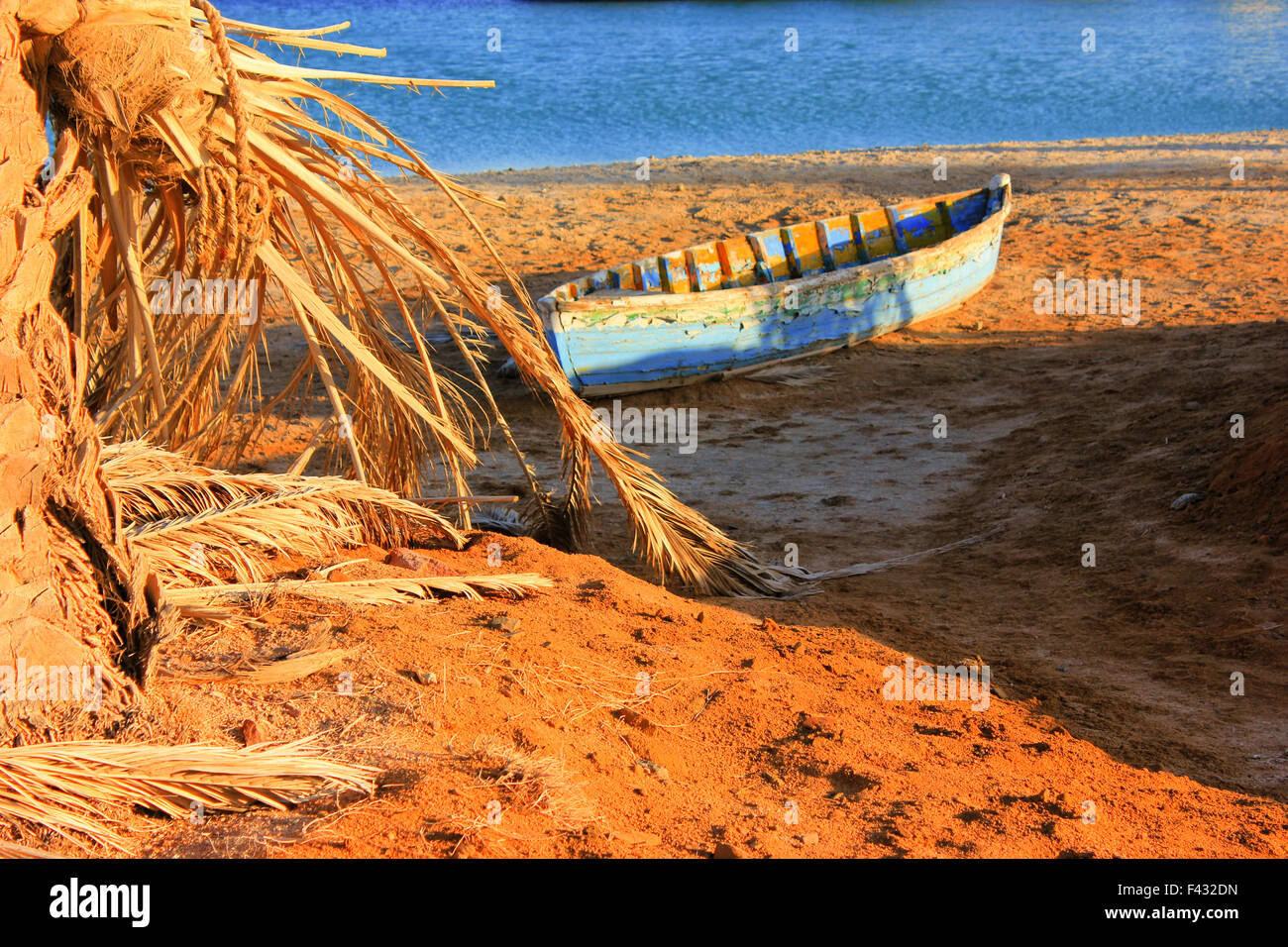 Old wooden boat trees hi-res stock photography and images - Alamy