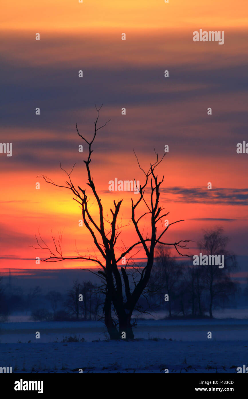 Bavarian winter landscape at sunset Stock Photo - Alamy