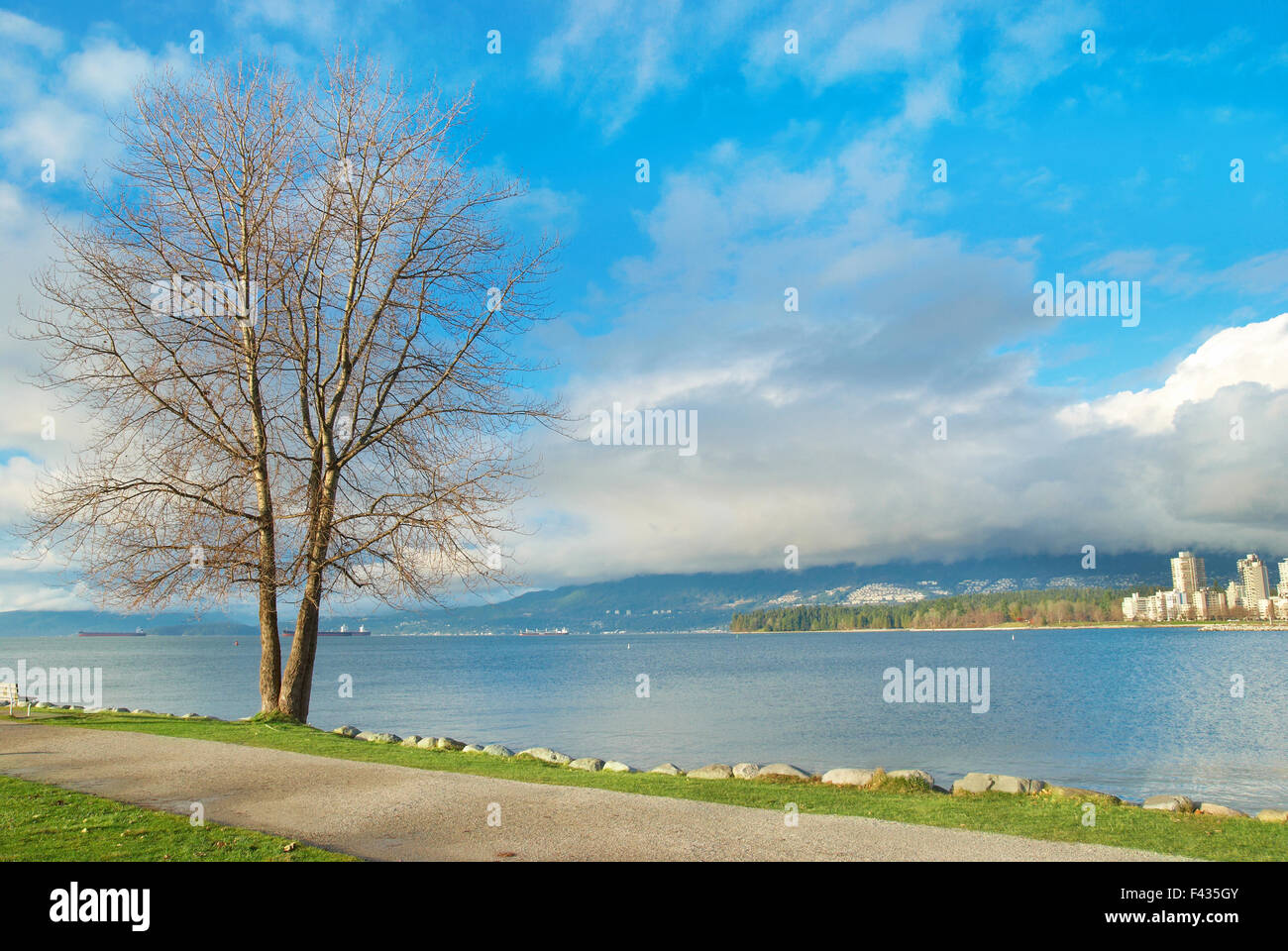 Beautiful forest near sea hi-res stock photography and images - Alamy