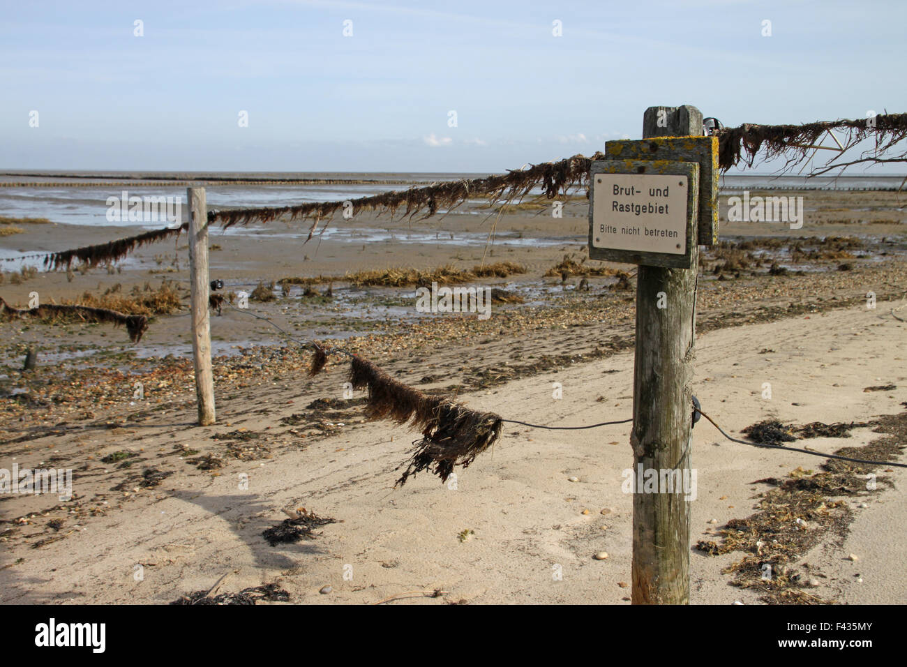 Breeding area hi-res stock photography and images - Alamy