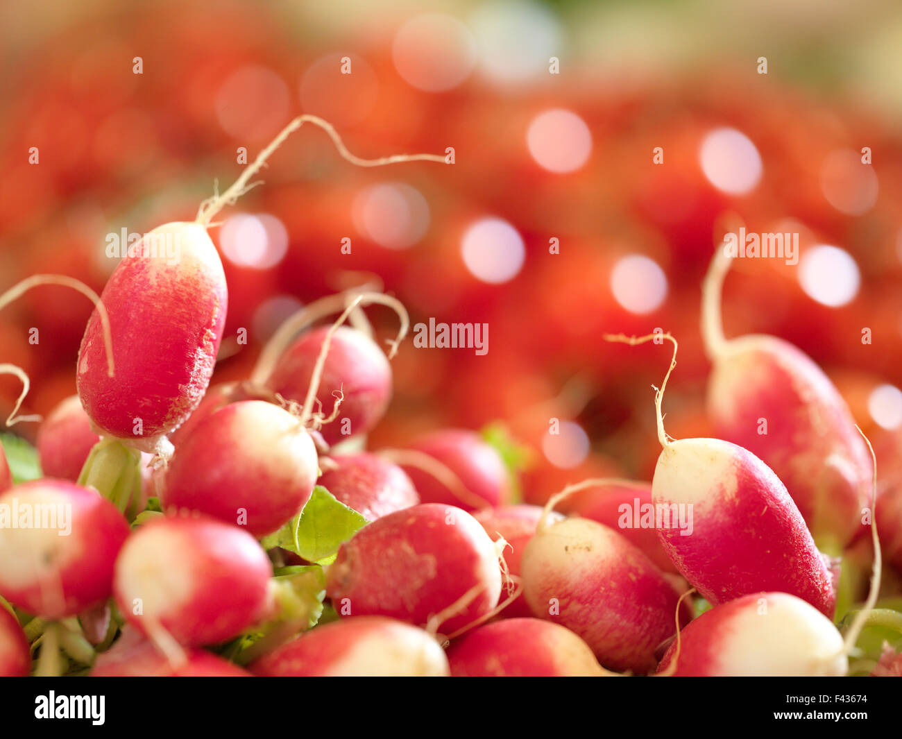 Radishes grocery store hi-res stock photography and images - Alamy