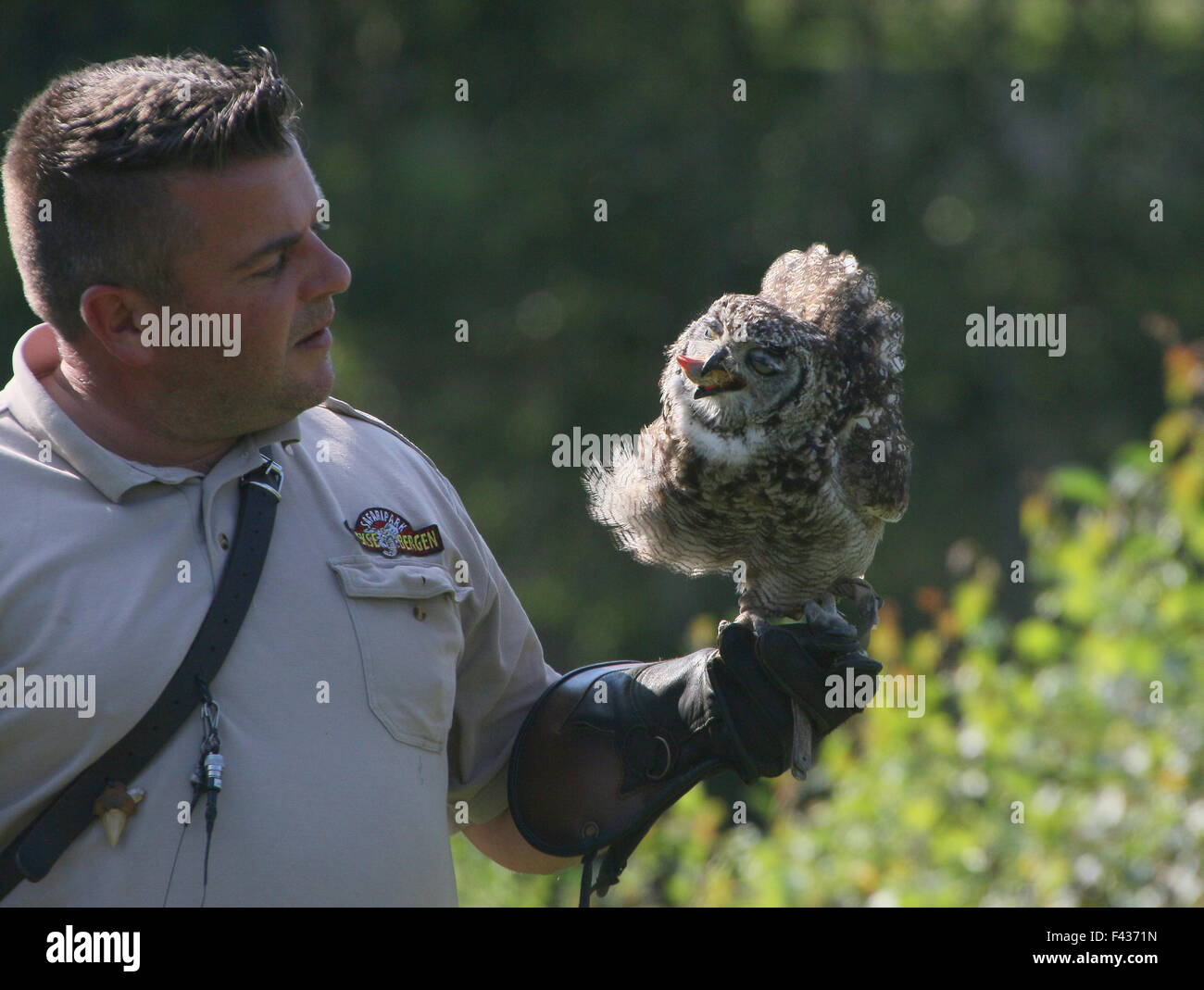 Birds being fed by hand hi-res stock photography and images - Alamy