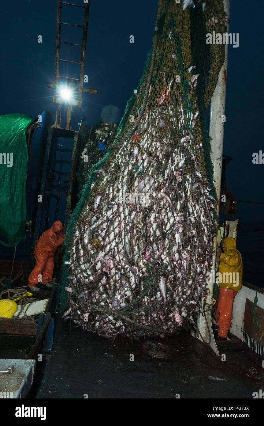 Pollock fish trawler hi-res stock photography and images - Alamy