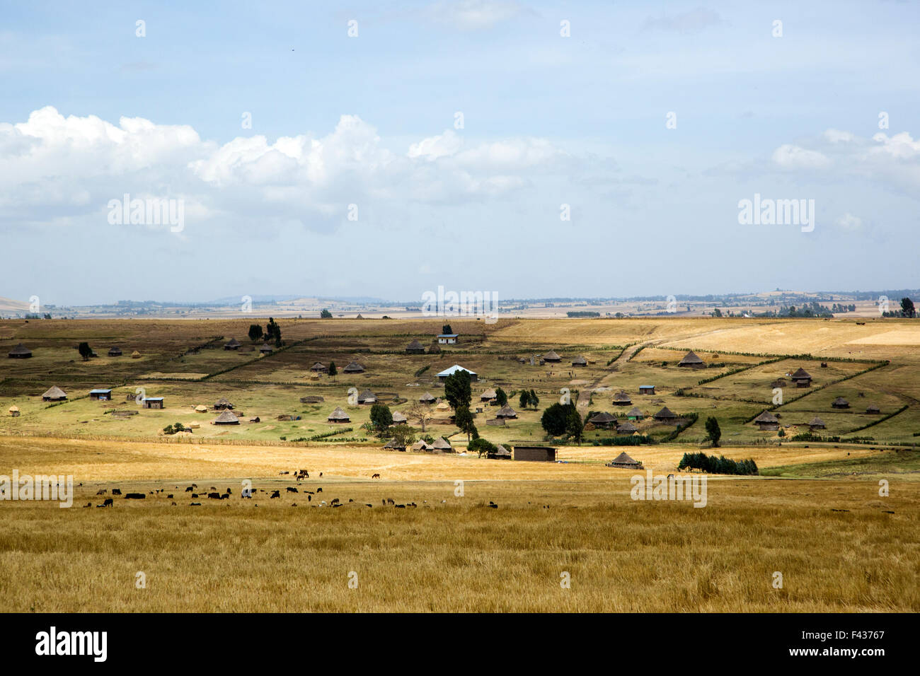 Ethiopian village hi-res stock photography and images - Alamy