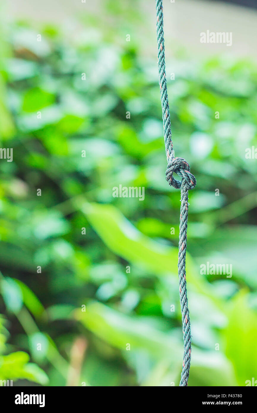 Knotted rope with green background Stock Photo - Alamy