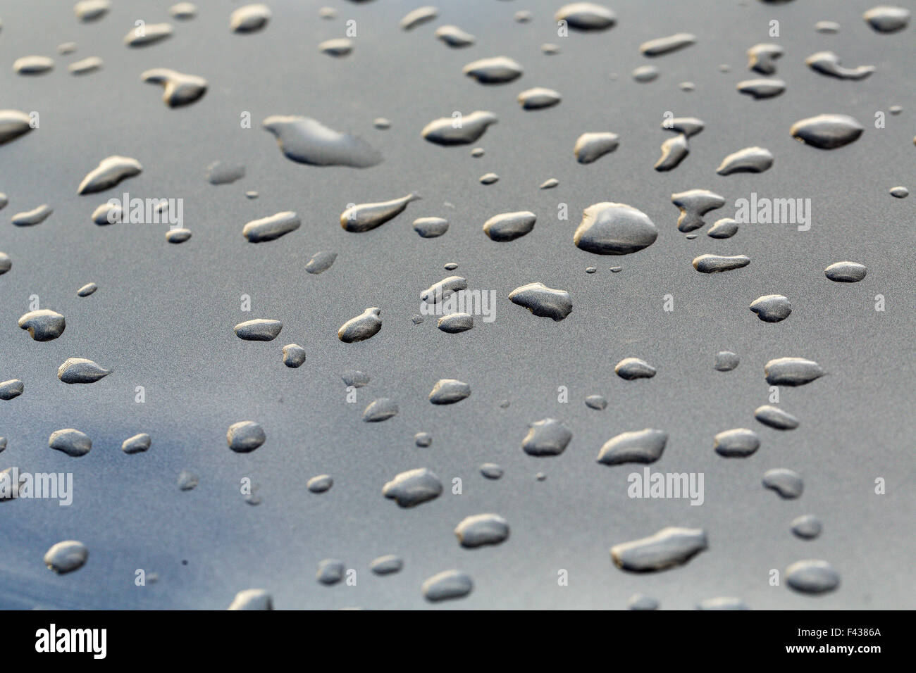 drops on a gray Stock Photo - Alamy
