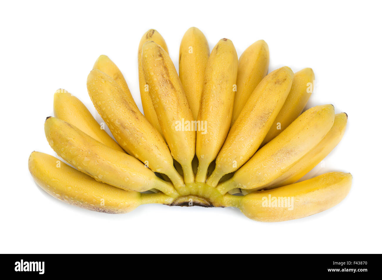 natural small tropical banana in a bunch Stock Photo - Alamy