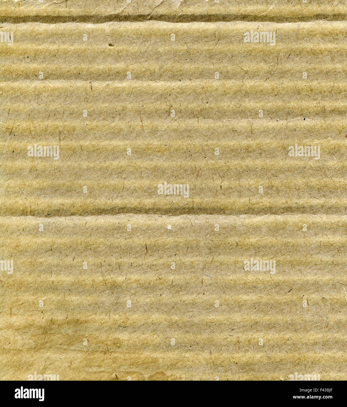 Cardboard bo hi-res stock photography and images - Alamy