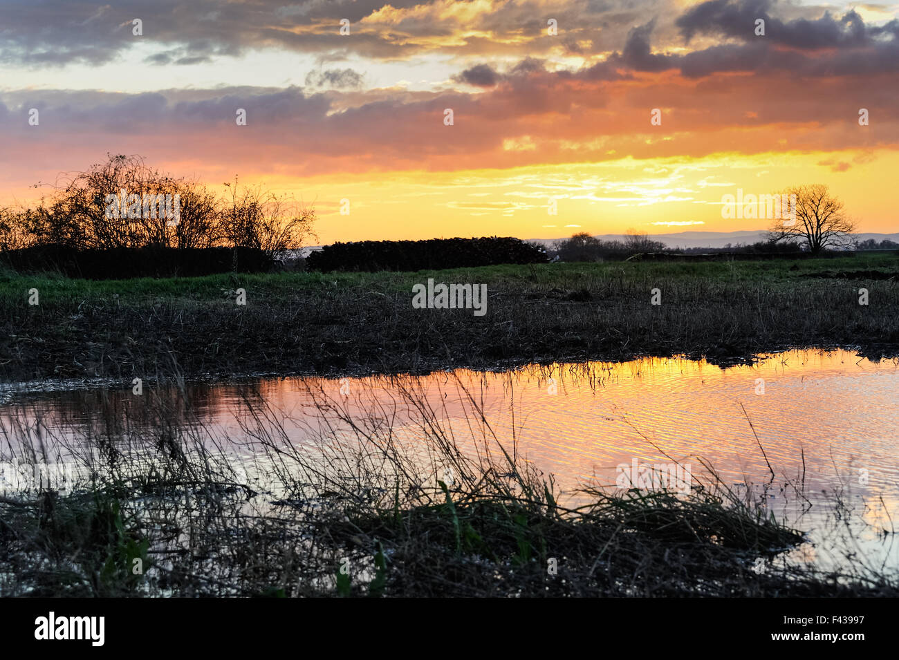 Landscape at sunset Stock Photo - Alamy