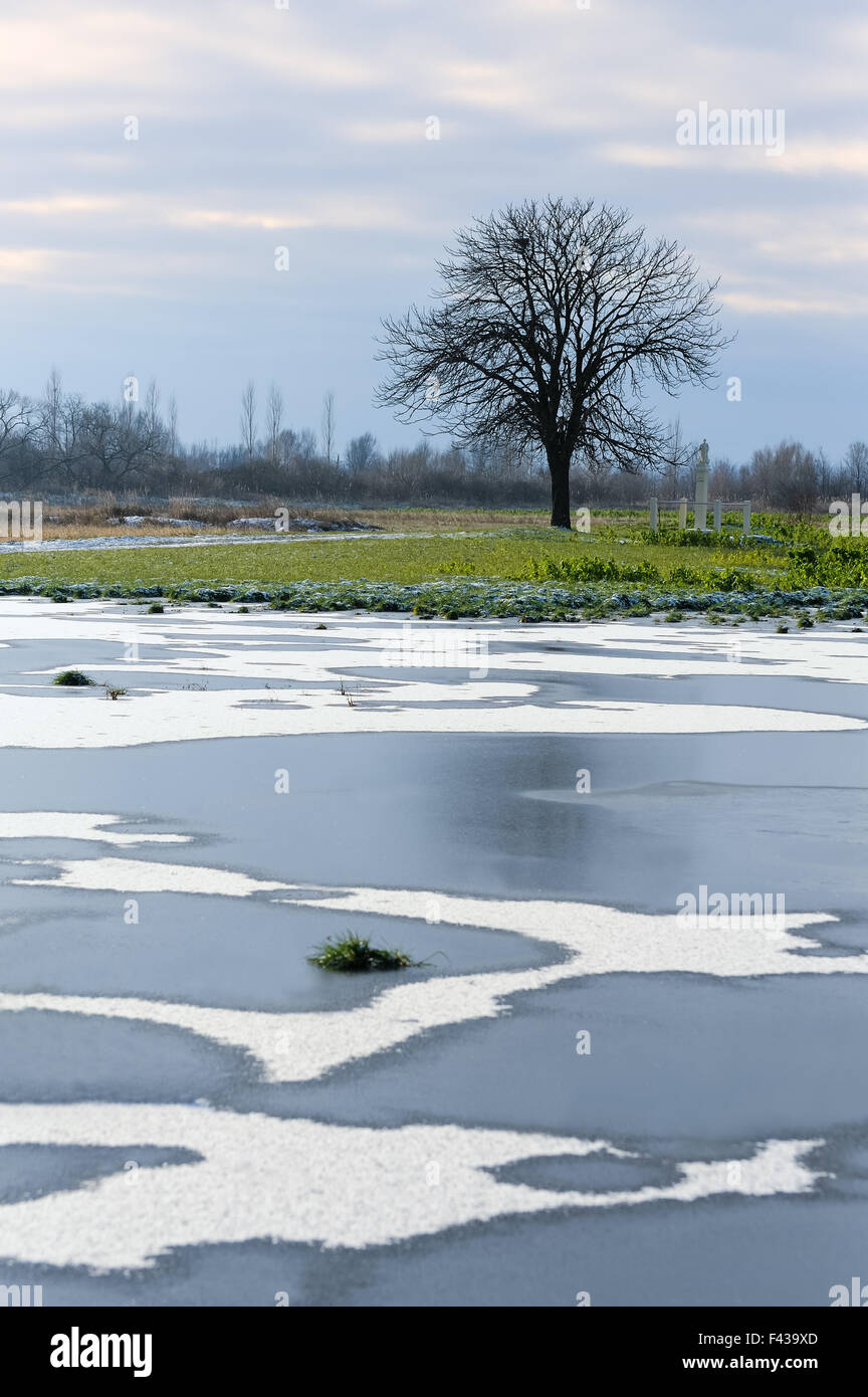 Landscape with ice pond and tree in winter Stock Photo - Alamy