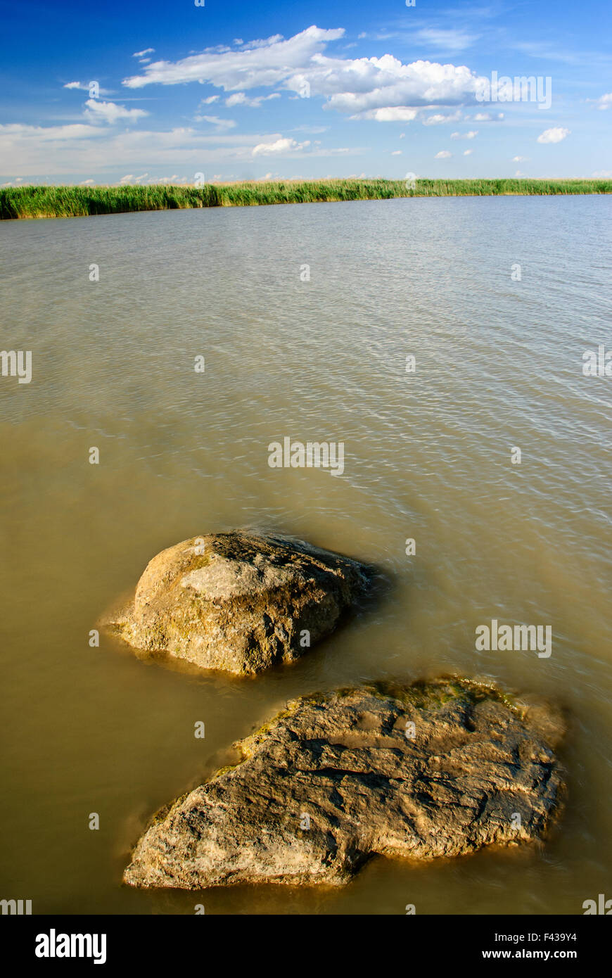 Stones in the lake Stock Photo - Alamy