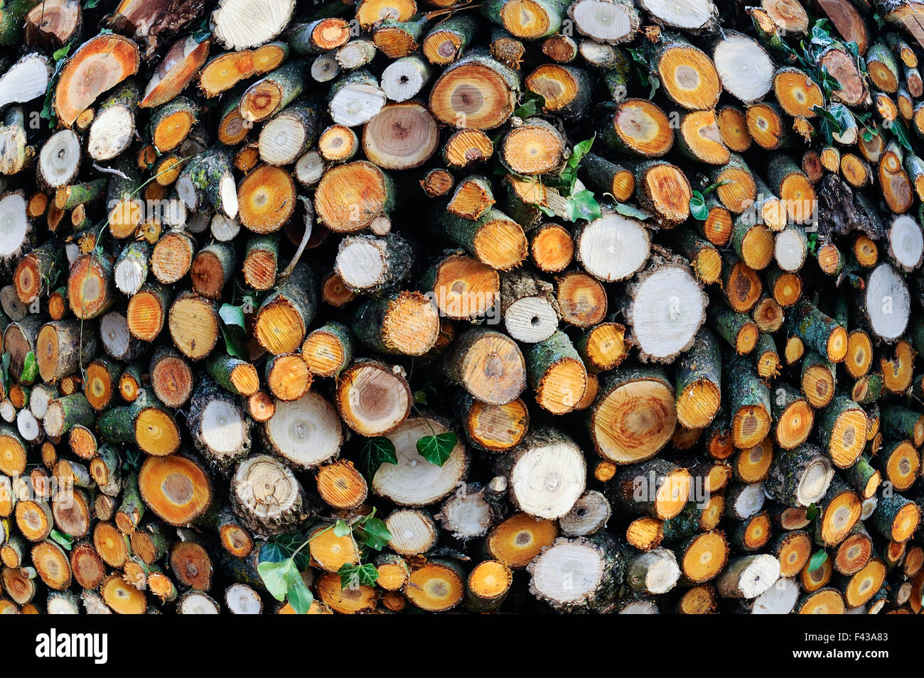 Stock stack hi-res stock photography and images - Alamy