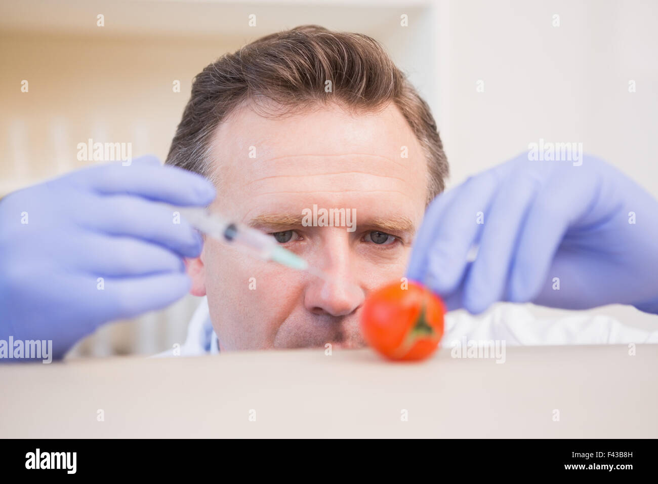 Scientist injecting tomato Stock Photo - Alamy