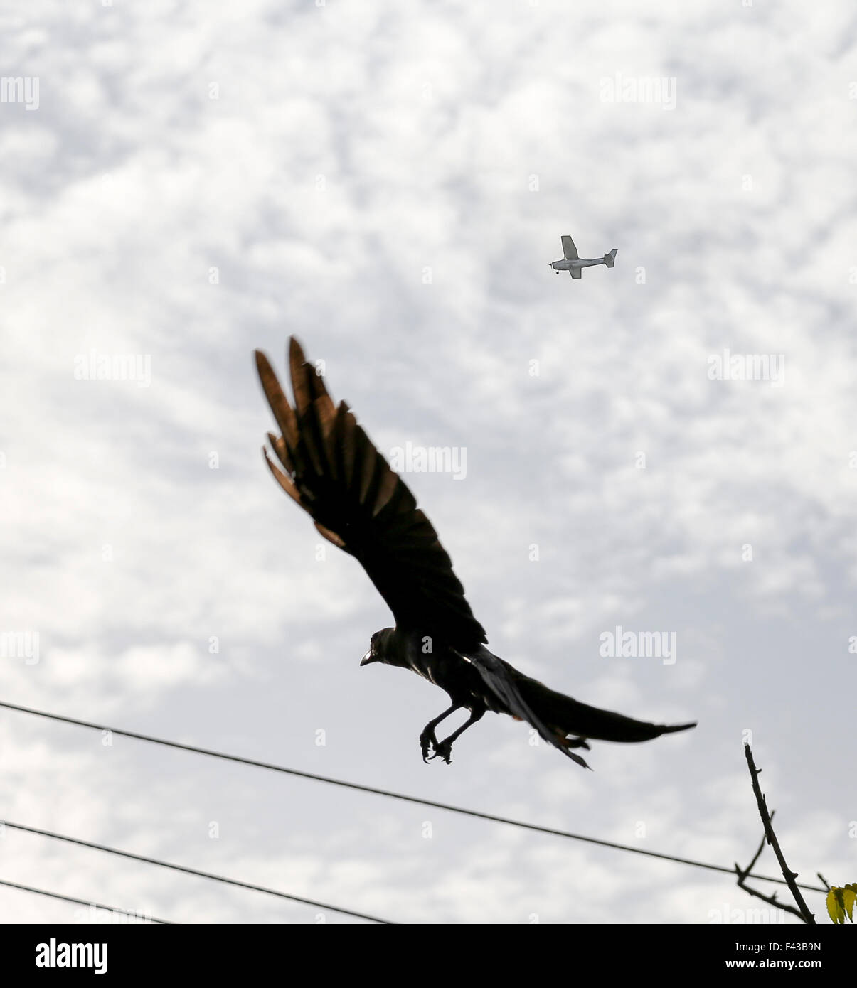 Flights ready to land Stock Photo - Alamy