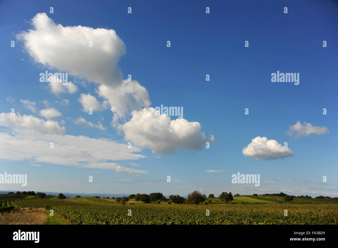 Farmland and clouds hi-res stock photography and images - Alamy