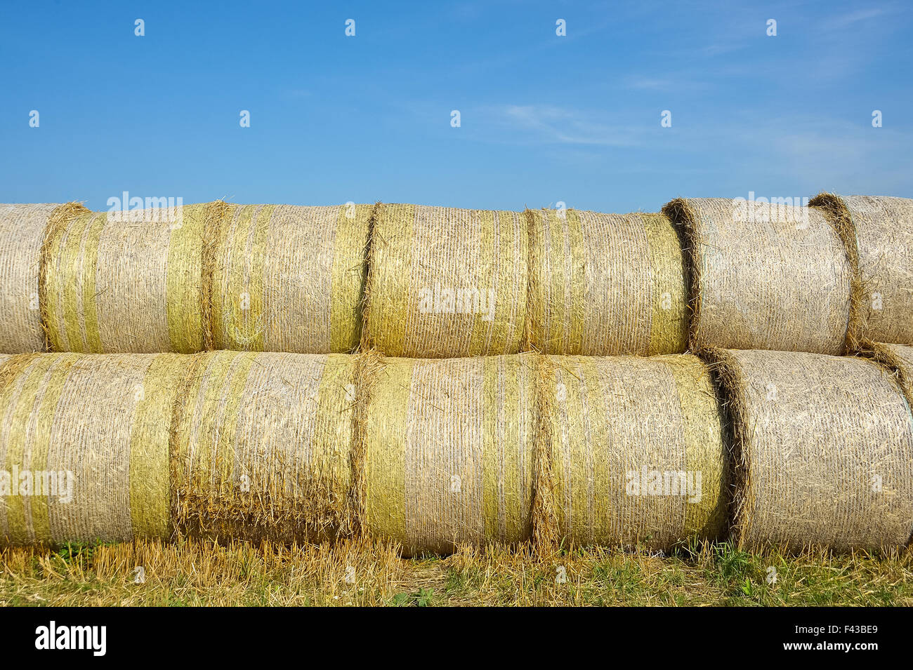 Round hay bales in the field Stock Photo - Alamy