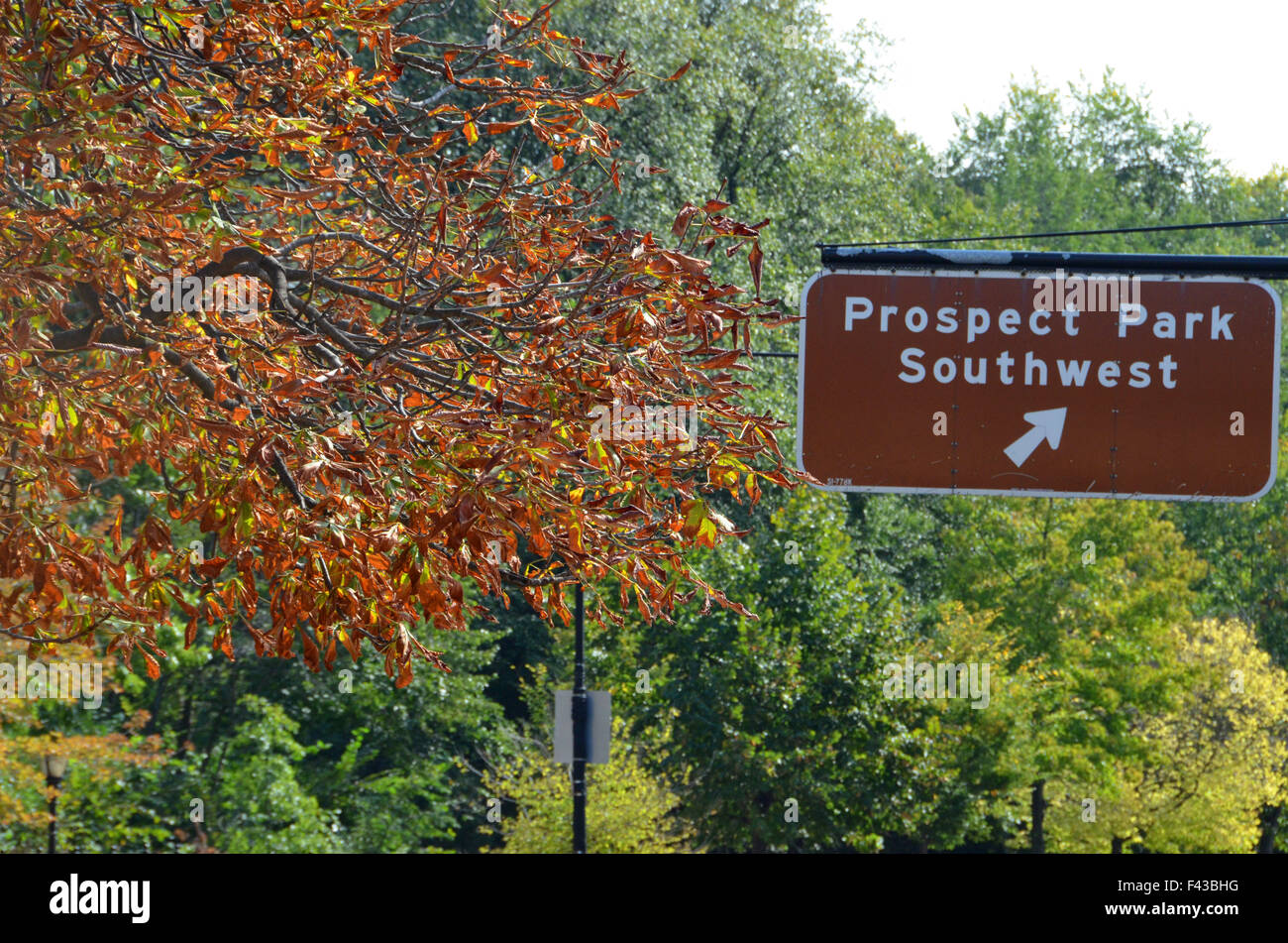 autumnal fall scenes in brooklyn's park slope Stock Photo - Alamy