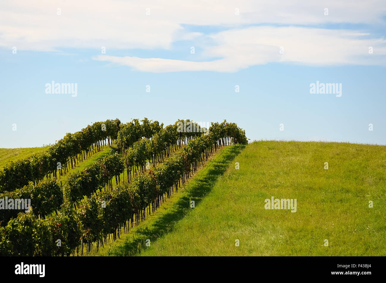 Rows of three hi-res stock photography and images - Alamy