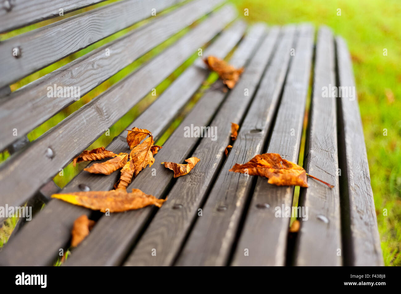Bench on autumn park hi-res stock photography and images - Alamy