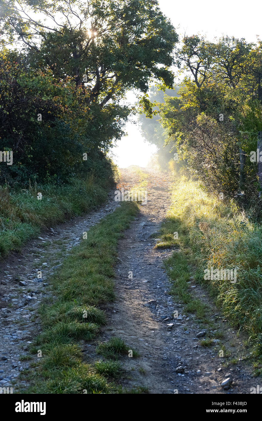 Rocky road hi-res stock photography and images - Alamy