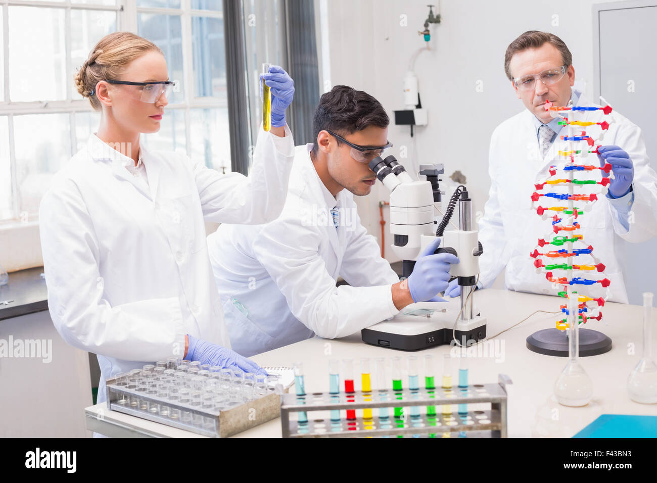 Concentrated scientists working together Stock Photo - Alamy