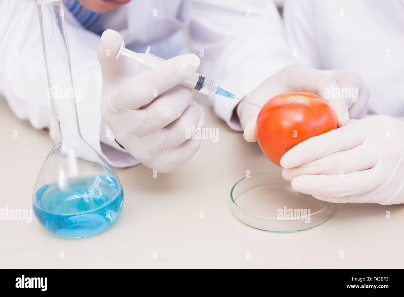 Scientists injecting tomato Stock Photo - Alamy